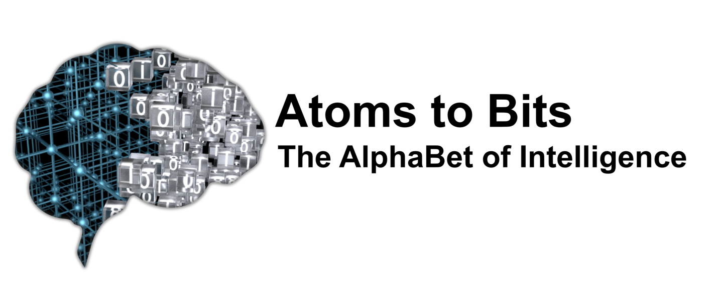 Workshop: Atoms to Bits: The AlphaBet of Intelligence v1.0 – Skyrmionics